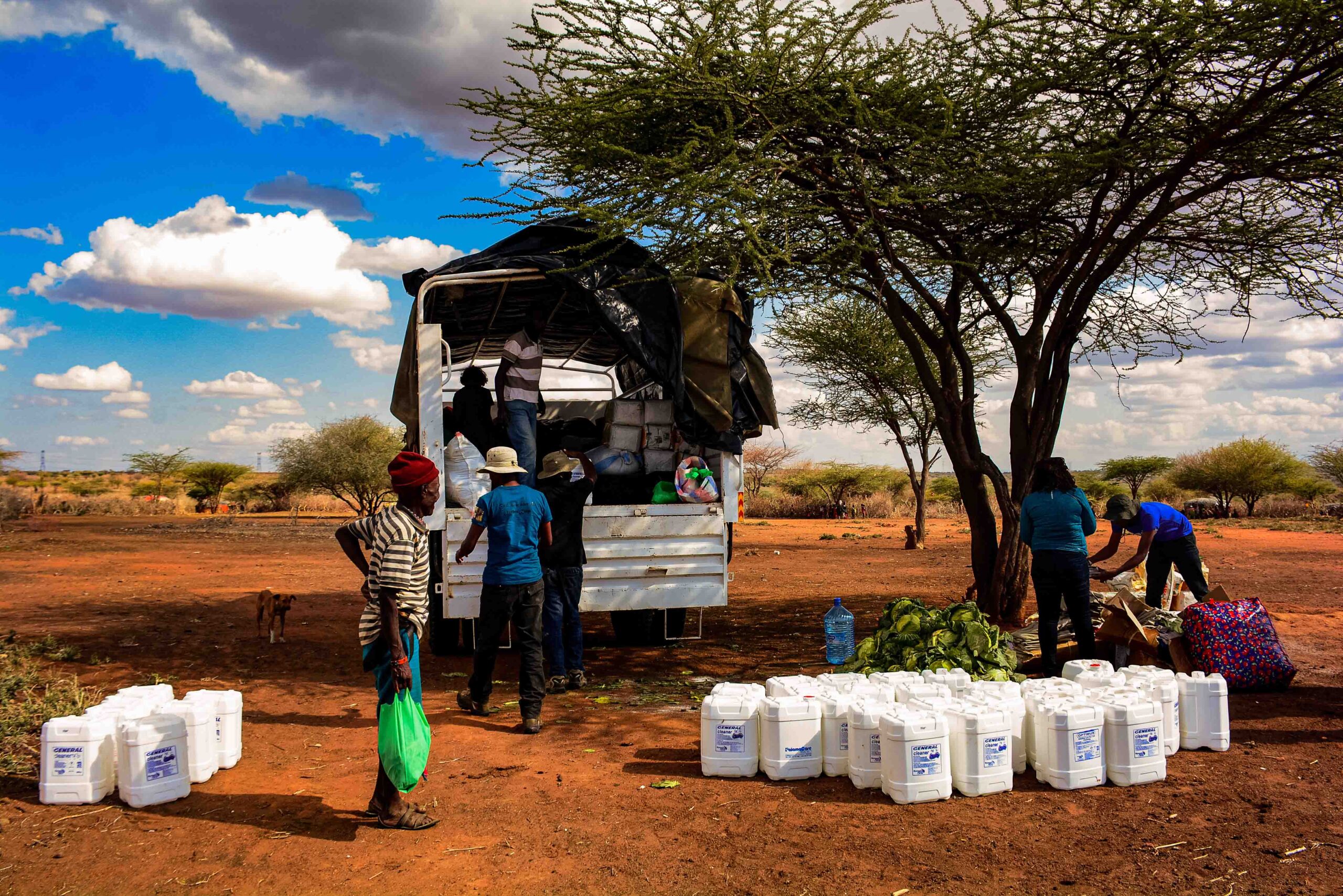 Gallery – The Naledi Initiative