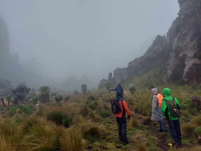 The Naledi Initiative